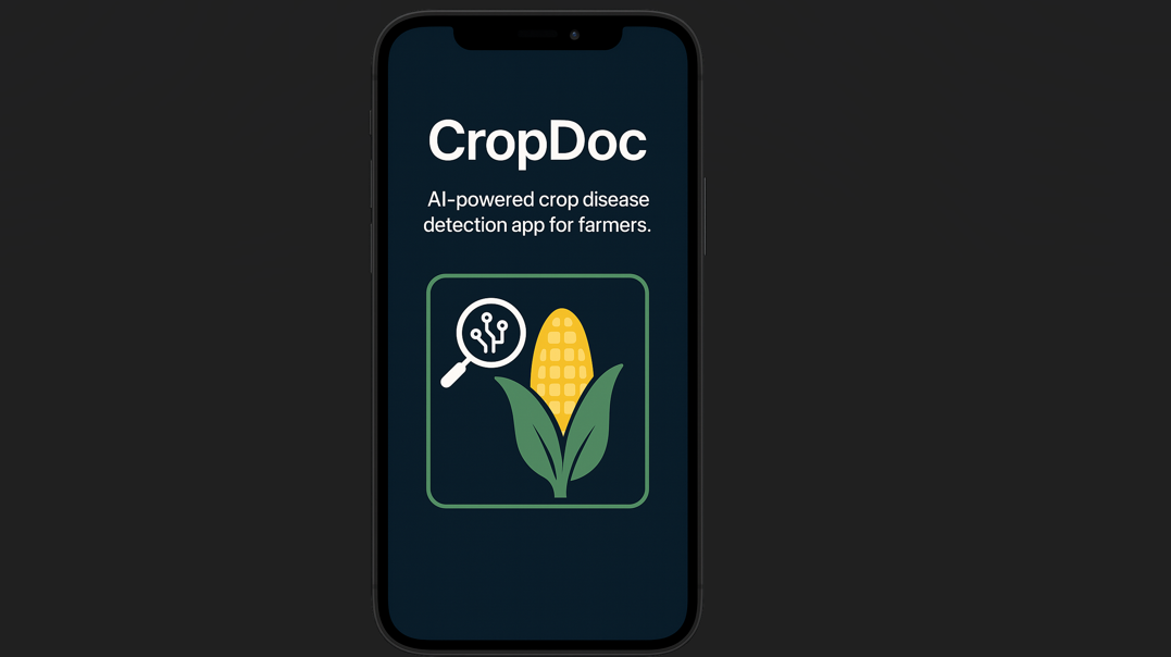 Zigla City | Software Engineer & AI Developer